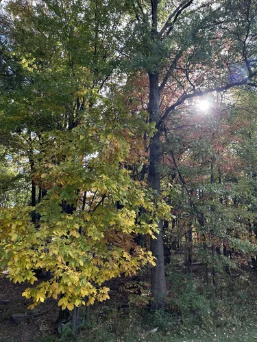 Best Hikes and Trails in Stanton Woods Park | AllTrails