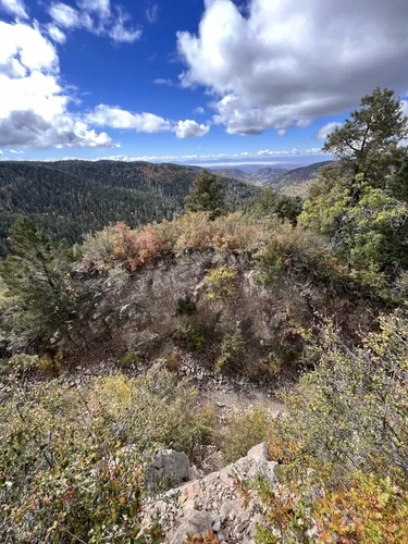 10 Best Trails and Hikes in Cloudcroft | AllTrails