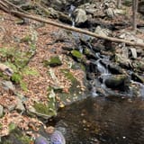 Whitestone Cliffs Trail, Connecticut - 585 Reviews, Map | AllTrails