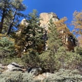 Castle Rock Trail, California - 2,253 Reviews, Map | AllTrails