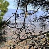 Riprap Trail , Virginia - 1,478 Reviews, Map | AllTrails