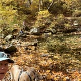 Riprap Trail , Virginia - 1,478 Reviews, Map | AllTrails