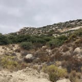Corral Canyon OHV Trail, California - 127 Reviews, Map | AllTrails