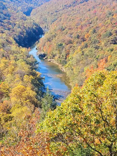 2023 Best Walking Trails in Strunk | AllTrails