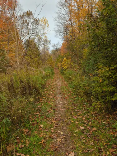 Best Hikes and Trails in Thamesford | AllTrails