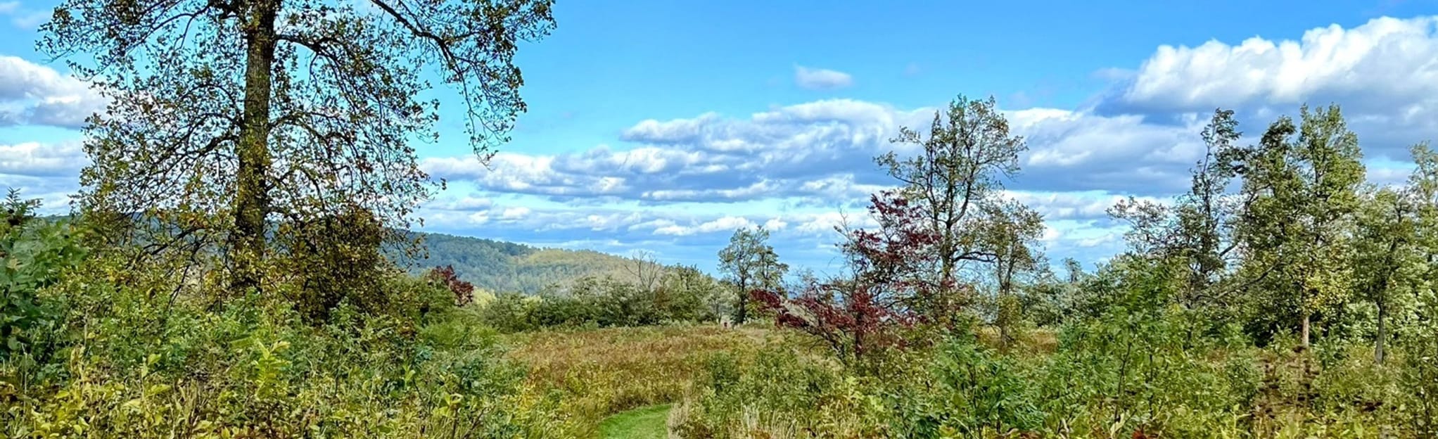 Ashby Gap and Old Appalachian Trail Loop, Virginia - 463 Reviews, Map ...