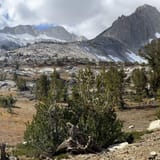 Twenty Lakes Basin Loop, California - 494 Reviews, Map | AllTrails