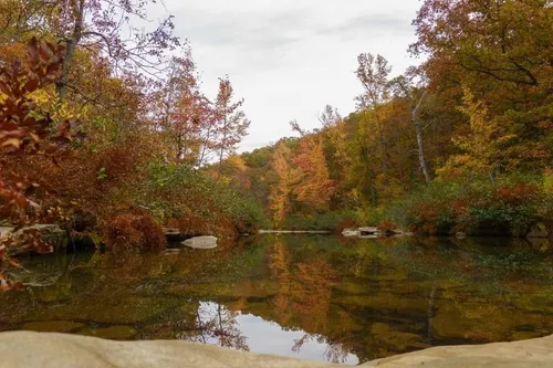 Best Hikes and Trails in Kings River Falls Natural Area | AllTrails