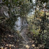 Angel Windows Trail, Kentucky - 1,129 Reviews, Map | AllTrails