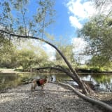 Hansen Dam Bike Path Trail, California - 826 Reviews, Map | AllTrails