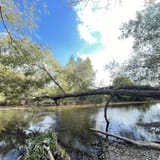 Hansen Dam Bike Path Trail, California - 826 Reviews, Map | AllTrails