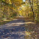 Falling Waters Trail, Michigan - 171 Reviews, Map | AllTrails