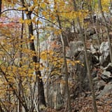 Whitestone Cliffs Trail, Connecticut - 551 Reviews, Map | AllTrails