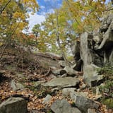 Whitestone Cliffs Trail, Connecticut - 553 Reviews, Map | AllTrails