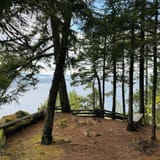 Turtleback Mountain South Trail , Washington - 385 Reviews, Map | AllTrails