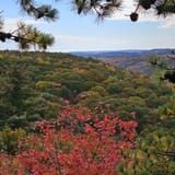 Whitestone Cliffs Trail, Connecticut - 585 Reviews, Map | AllTrails