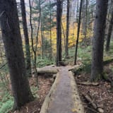 Buck Mountain Fire Tower Trail, New York - 116 Reviews, Map | AllTrails