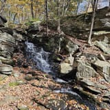Whitestone Cliffs Trail, Connecticut - 585 Reviews, Map | AllTrails