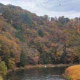 Redbank Valley Trail, Pennsylvania - 161 Reviews, Map | AllTrails