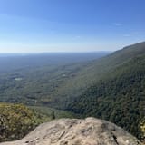 Huckleberry Point Trail, New York - 1,681 Reviews, Map | AllTrails