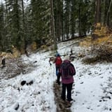 Cooper River Trail, Washington - 319 Reviews, Map | AllTrails