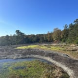 Forty Acre Rock Trail, South Carolina - 518 Reviews, Map | AllTrails