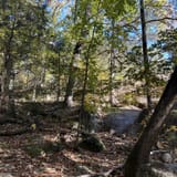 Forty Acre Rock Trail, South Carolina - 518 Reviews, Map | AllTrails