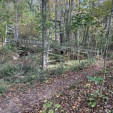 Bridge Loop Trail and Lake Loop Trail, Georgia - 840 Reviews, Map ...