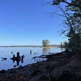 Little Gap Trail, South Carolina - 686 Reviews, Map | AllTrails