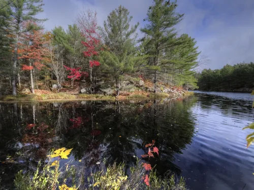 Best Hikes and Trails in Adams Nature Reserve | AllTrails