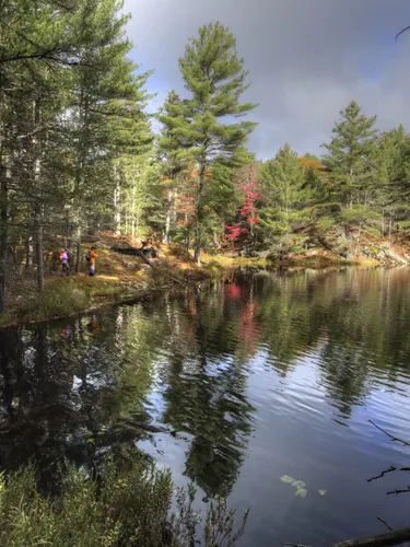 Best Hikes and Trails in Adams Nature Reserve | AllTrails