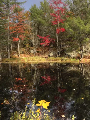 Best Hikes and Trails in Adams Nature Reserve | AllTrails