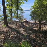 Little Gap Trail, South Carolina - 686 Reviews, Map | AllTrails