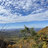 Lewis Spring Falls Trail, Virginia - 1,335 Reviews, Map | AllTrails