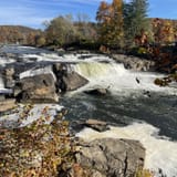 Ferncliff Trail, Pennsylvania - 1,279 Reviews, Map | AllTrails