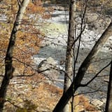 Ferncliff Trail, Pennsylvania - 1,279 Reviews, Map | AllTrails