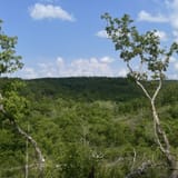 Bell Mountain Loop via the North Trailhead, Missouri - 119 Reviews, Map ...