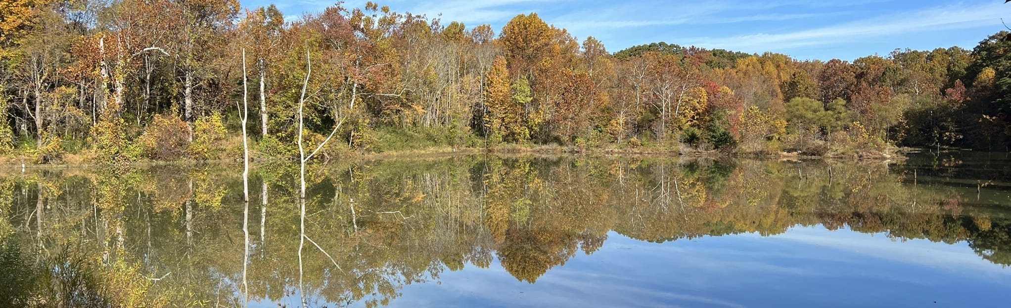 Cabin Branch, Hamilton, and Black Rock Trail Loop: 378 fotos - Maryland ...