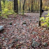 Lye Brook Falls Trail, Vermont - 2,763 Reviews, Map | AllTrails