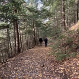 Lye Brook Falls Trail, Vermont - 2,763 Reviews, Map | AllTrails
