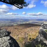 High Rocks Trail, Virginia - 524 Reviews, Map | AllTrails