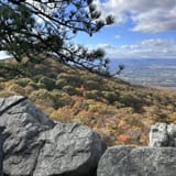 High Rocks Trail, Virginia - 467 Reviews, Map | AllTrails
