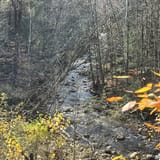 Lye Brook Falls Trail, Vermont - 2,763 Reviews, Map | AllTrails