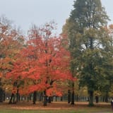 High Park Loop, Ontario, Canada - 874 Reviews, Map | AllTrails