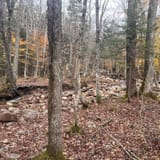 Thirteen Falls and Owl’s Head Loop, New Hampshire - 127 Reviews, Map ...