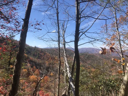 Best Hikes and Trails in Unaka Mountain Wilderness | AllTrails