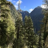 Colonel Bob Trail, Washington - 162 Reviews, Map | AllTrails