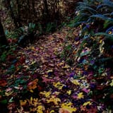 Colonel Bob Trail, Washington - 162 Reviews, Map | AllTrails