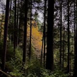 Colonel Bob Trail, Washington - 162 Reviews, Map | AllTrails