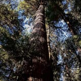 Colonel Bob Trail, Washington - 162 Reviews, Map | AllTrails